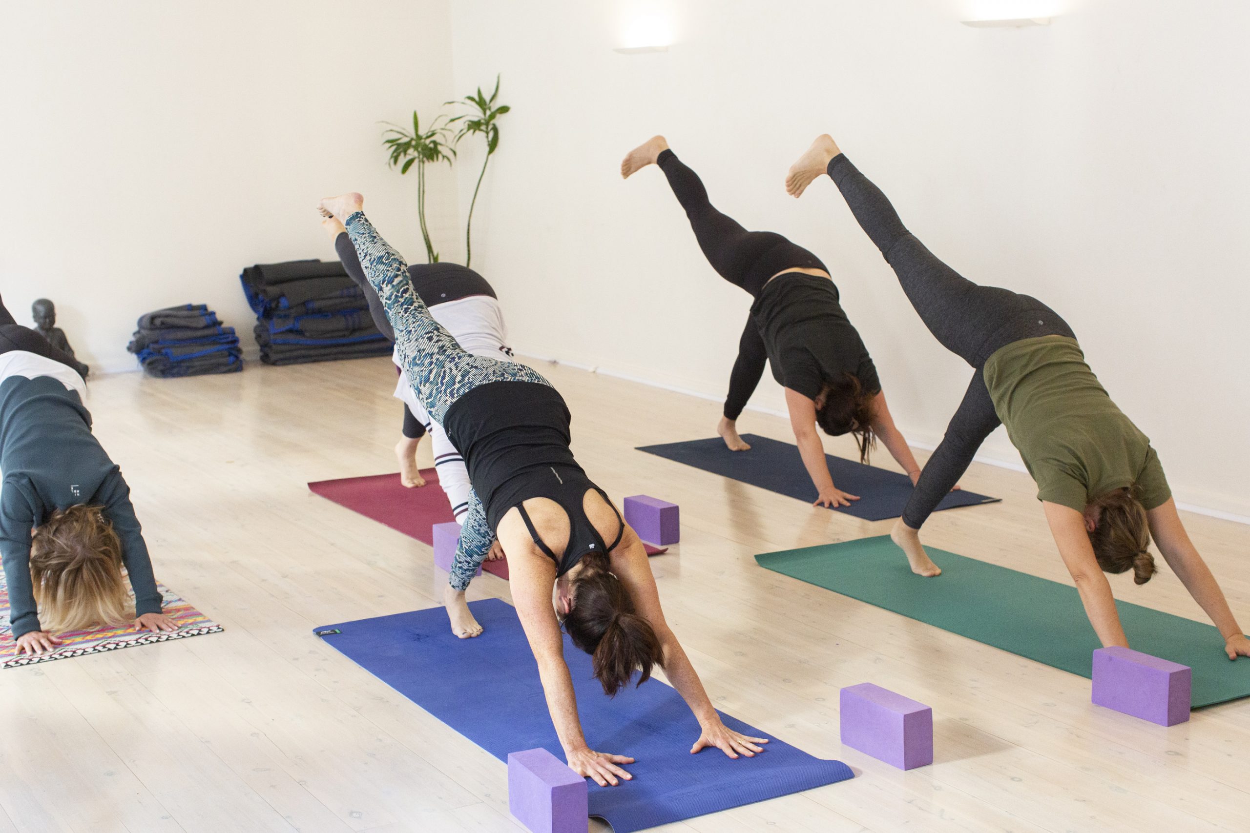 Gallery - My Asana Yoga